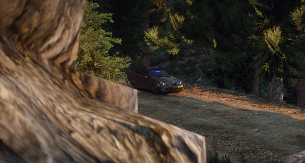Mercedes C63 - FiveM Services